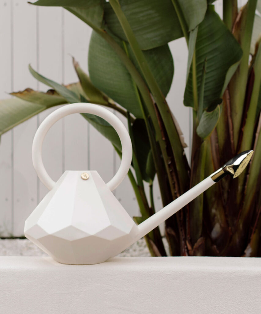 Crystal watering can + sprinkler head - Garden Glory USA